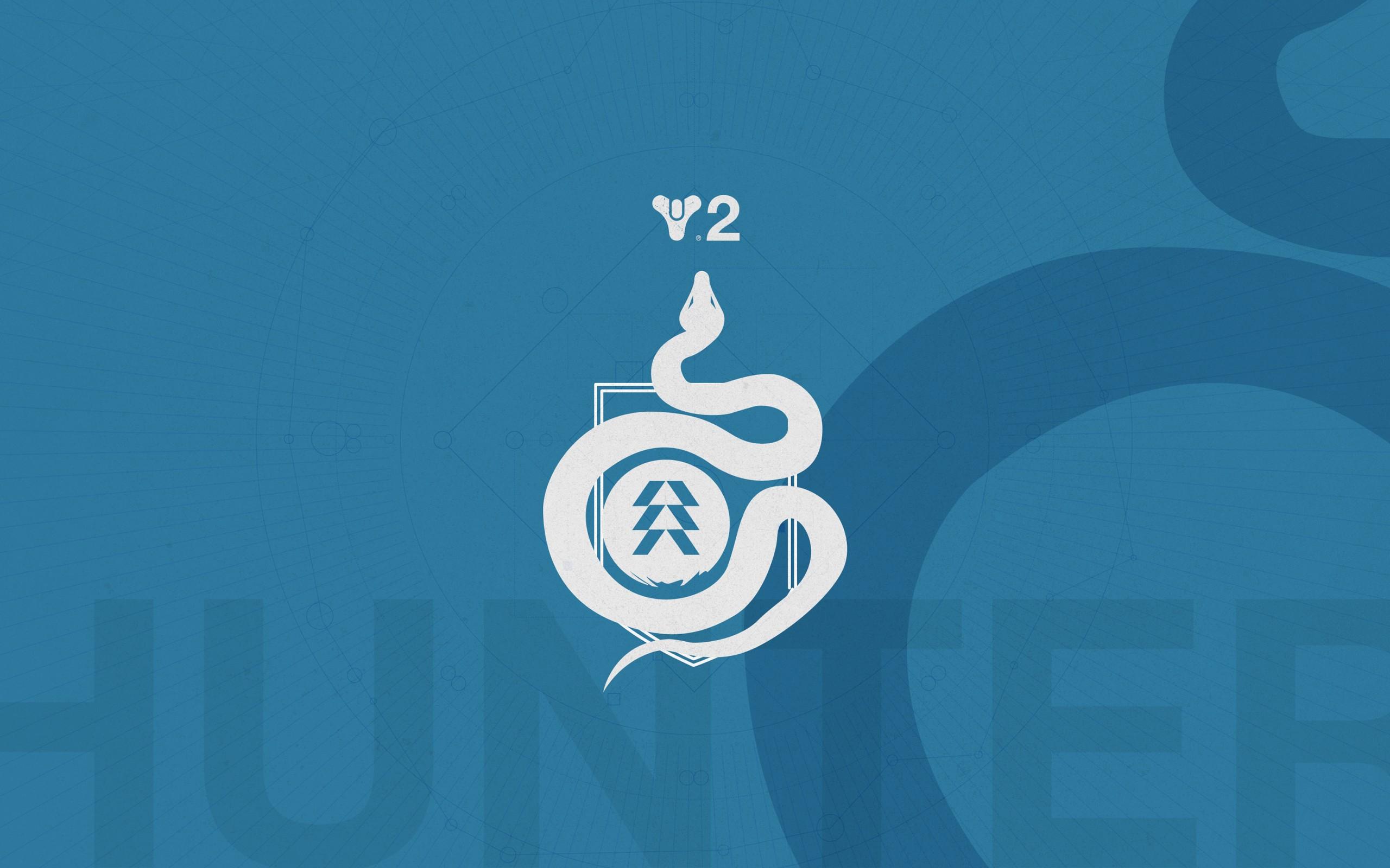 Hunter Destiny 2 Wallpapers - Top Free Hunter Destiny 2 Backgrounds ...