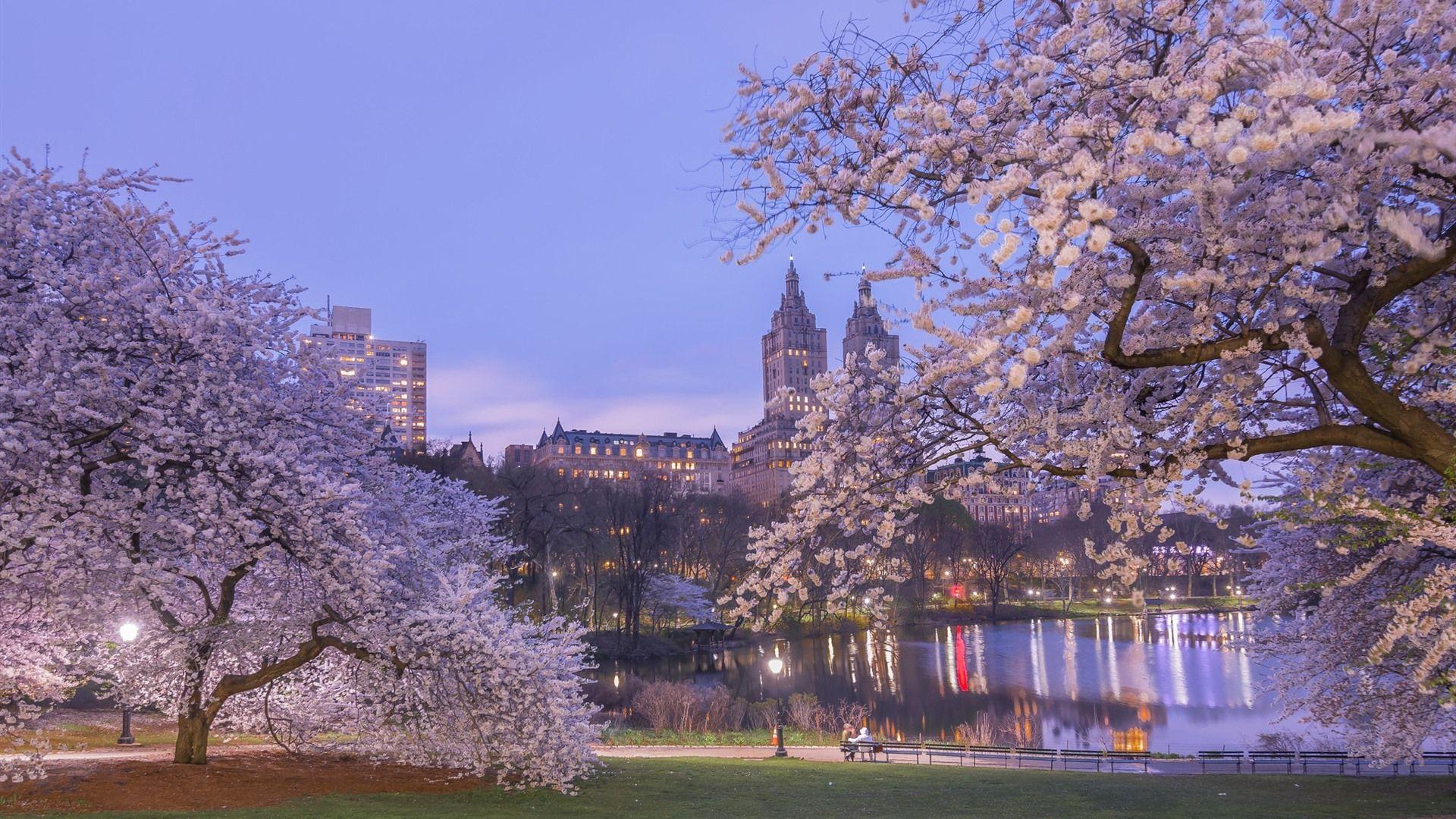 NYC Spring Wallpapers - Top Free NYC Spring Backgrounds - WallpaperAccess