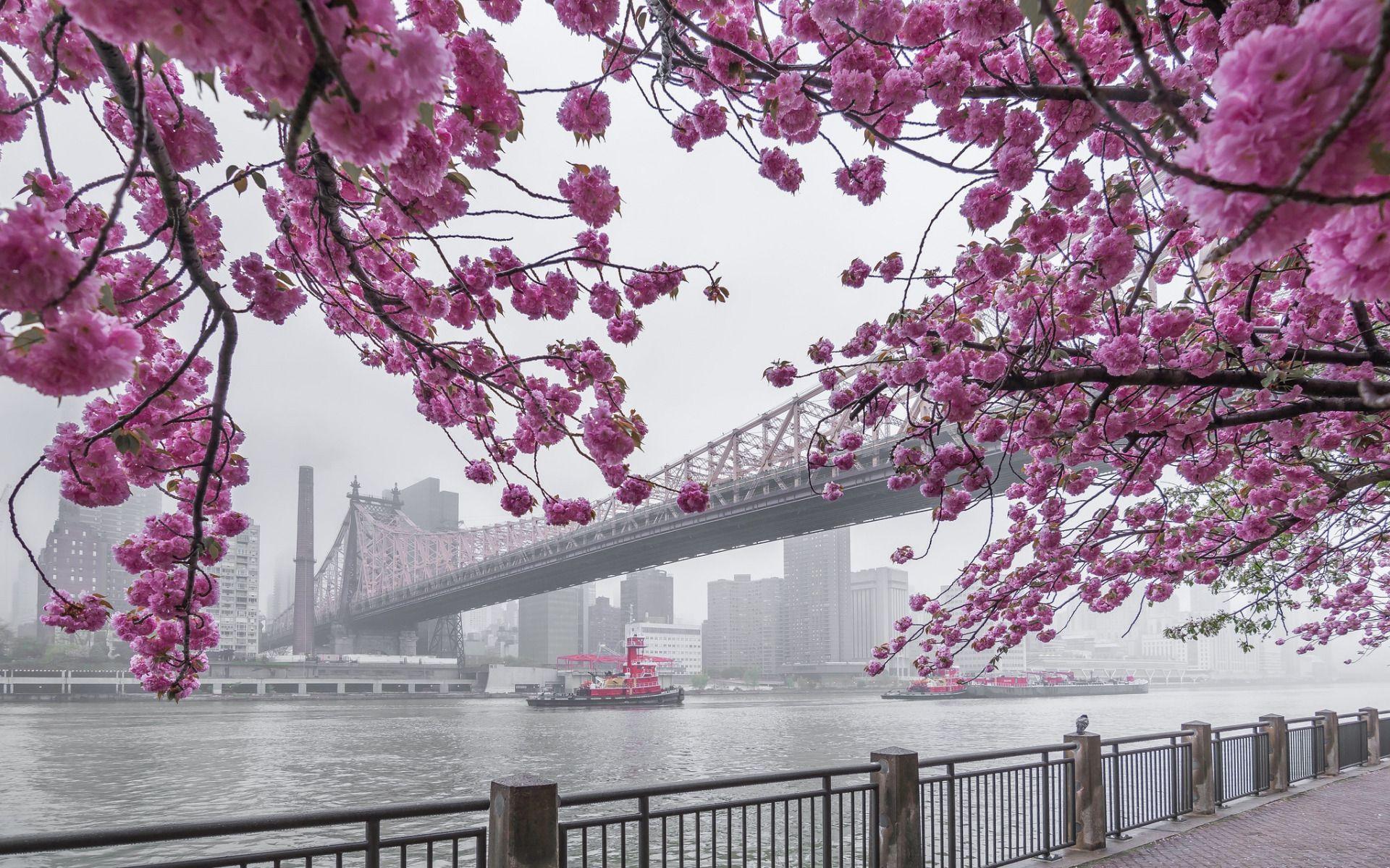 Spring New York Wallpapers - Top Free Spring New York Backgrounds ...