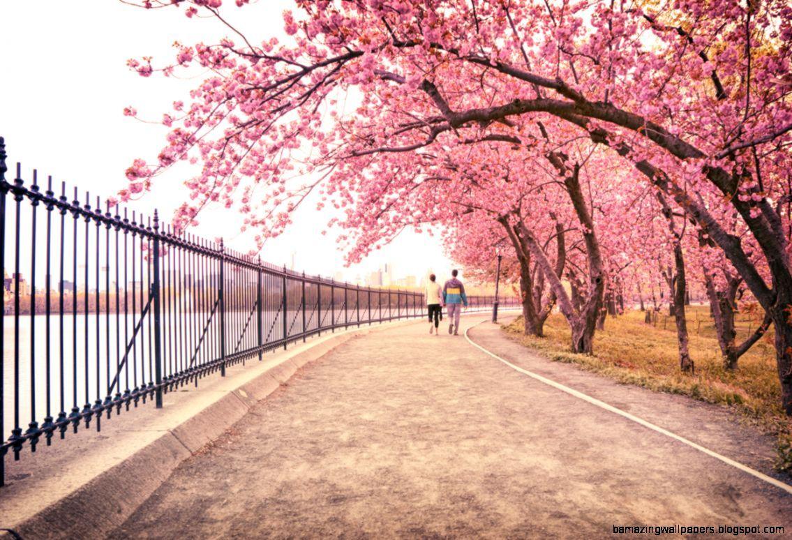 New York Spring Wallpapers - Top Free New York Spring Backgrounds ...