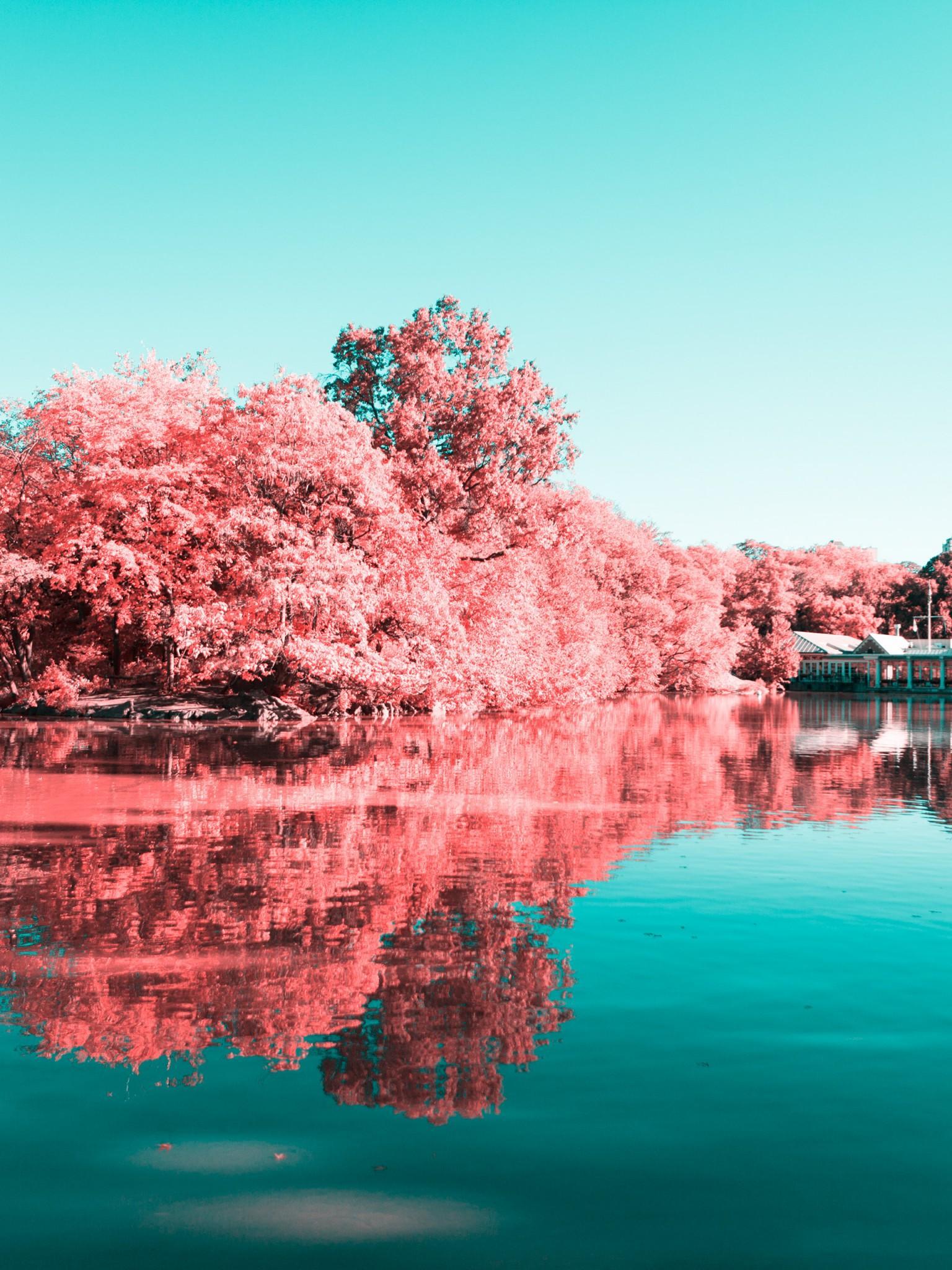 New York Spring Wallpapers - Top Free New York Spring Backgrounds ...