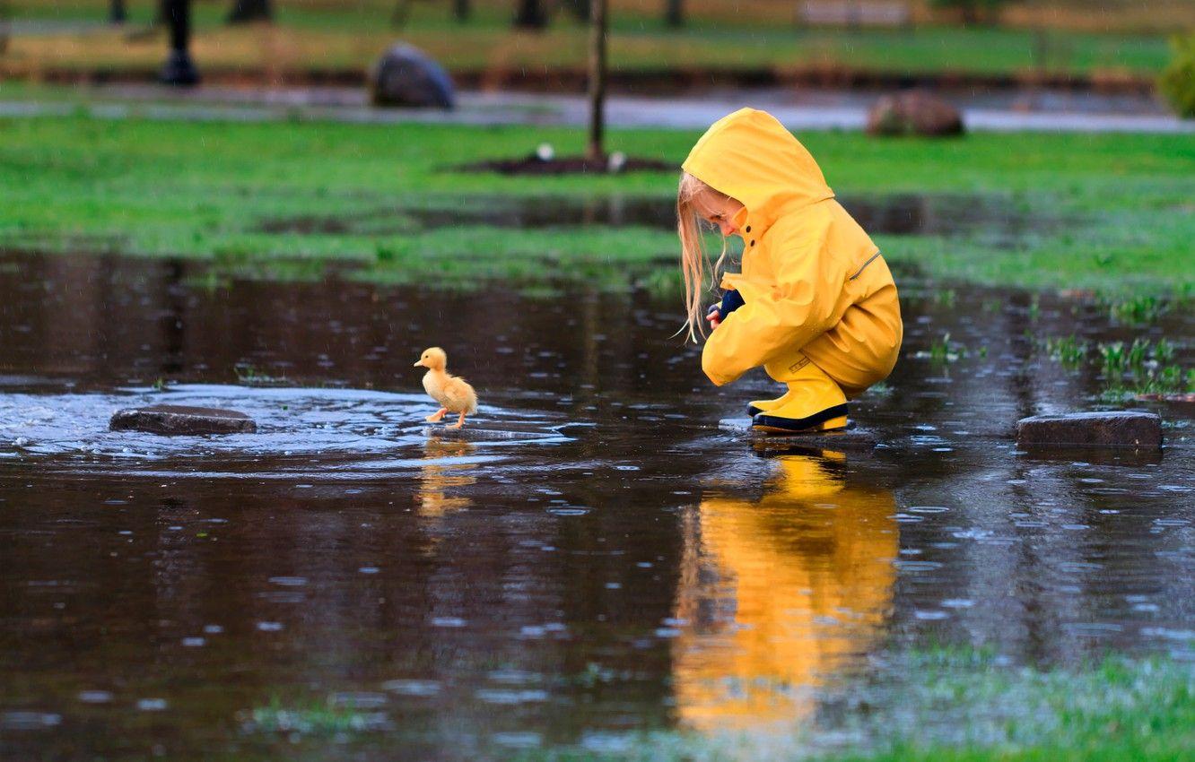 Rainy Spring Desktop Wallpapers - Top Free Rainy Spring Desktop ...