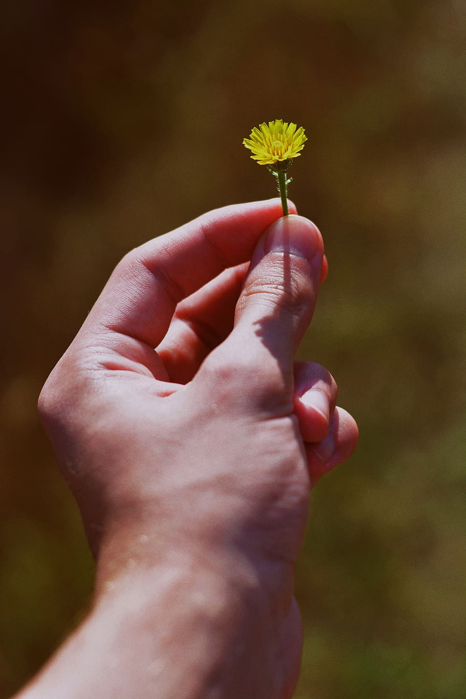 Hand Wallpapers - Top Free Hand Backgrounds - WallpaperAccess