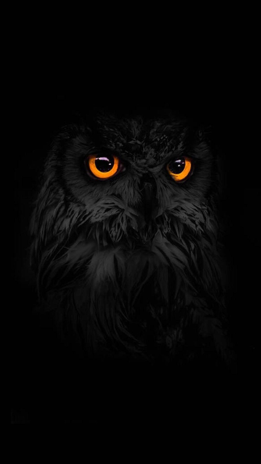 Burung Wallpapers - Top Free Burung Backgrounds - WallpaperAccess