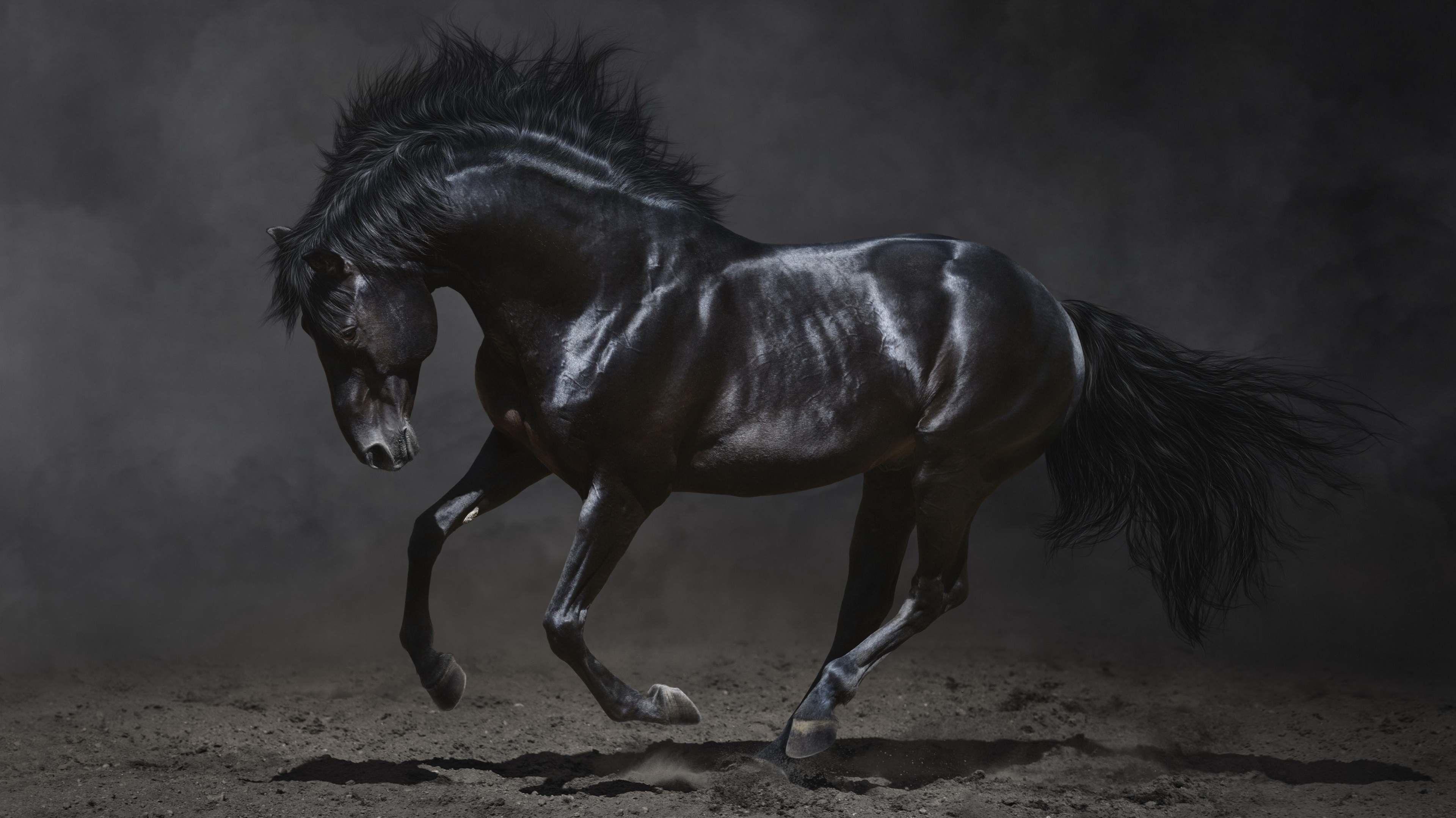 Horse 4k Wallpapers - Top Free Horse 4k Backgrounds - WallpaperAccess