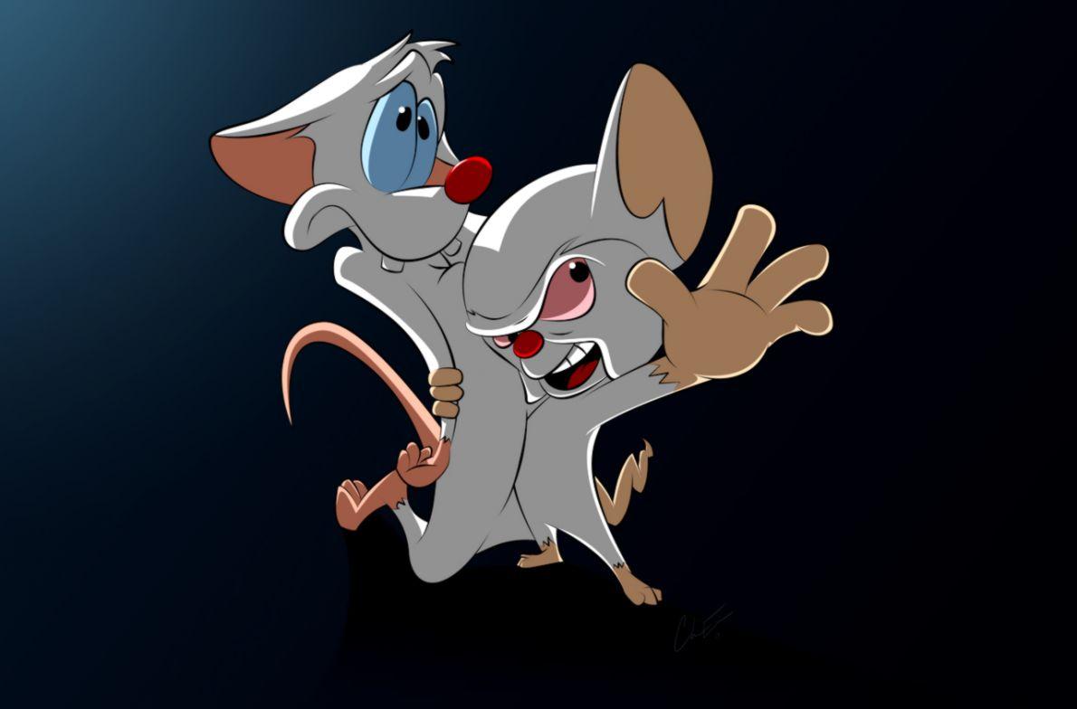 Pinky and the Brain Wallpapers - Top Free Pinky and the Brain ...