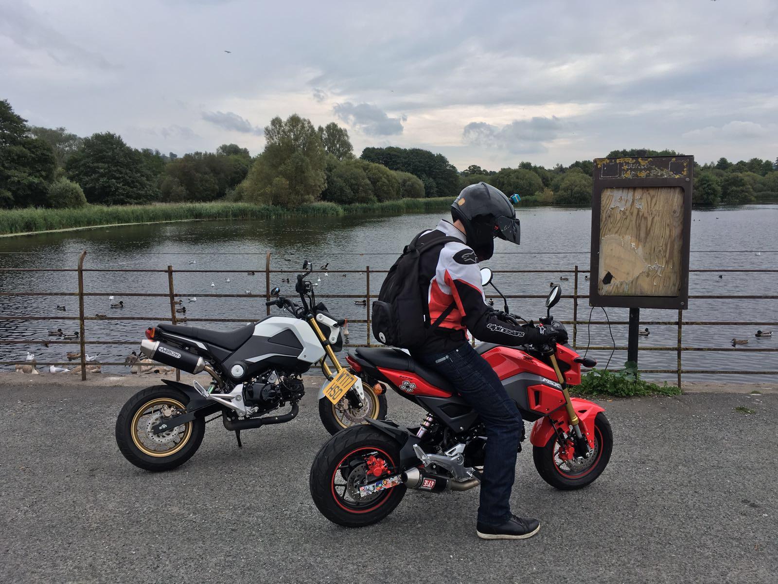 MSX Wallpapers - Top Free MSX Backgrounds - WallpaperAccess