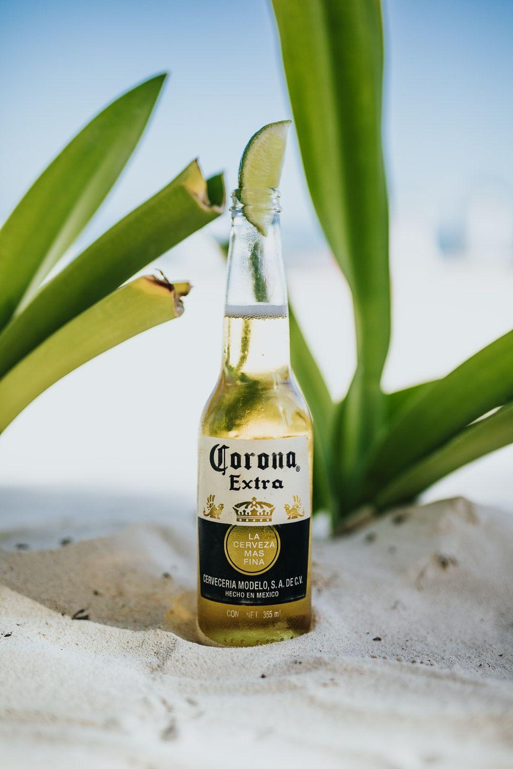 Corona Beer Wallpapers - Top Free Corona Beer Backgrounds - WallpaperAccess