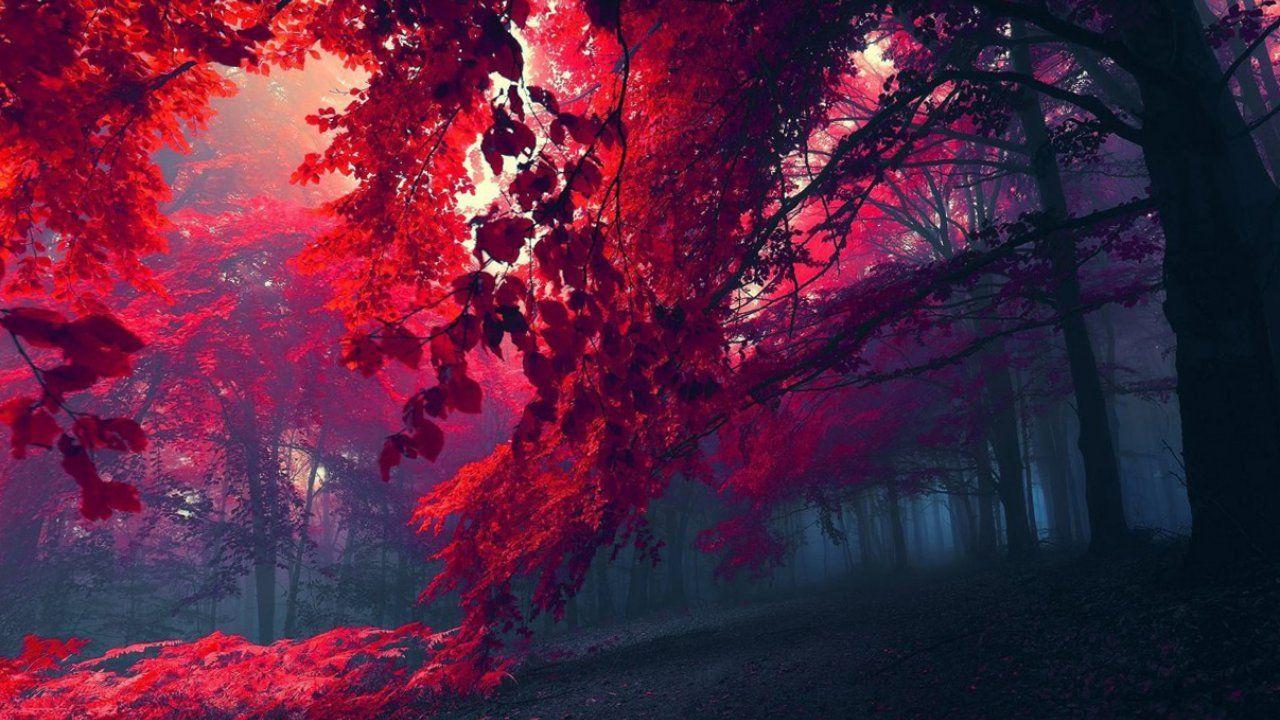 Lo-Fi PC Wallpapers - Top Free Lo-Fi PC Backgrounds - WallpaperAccess