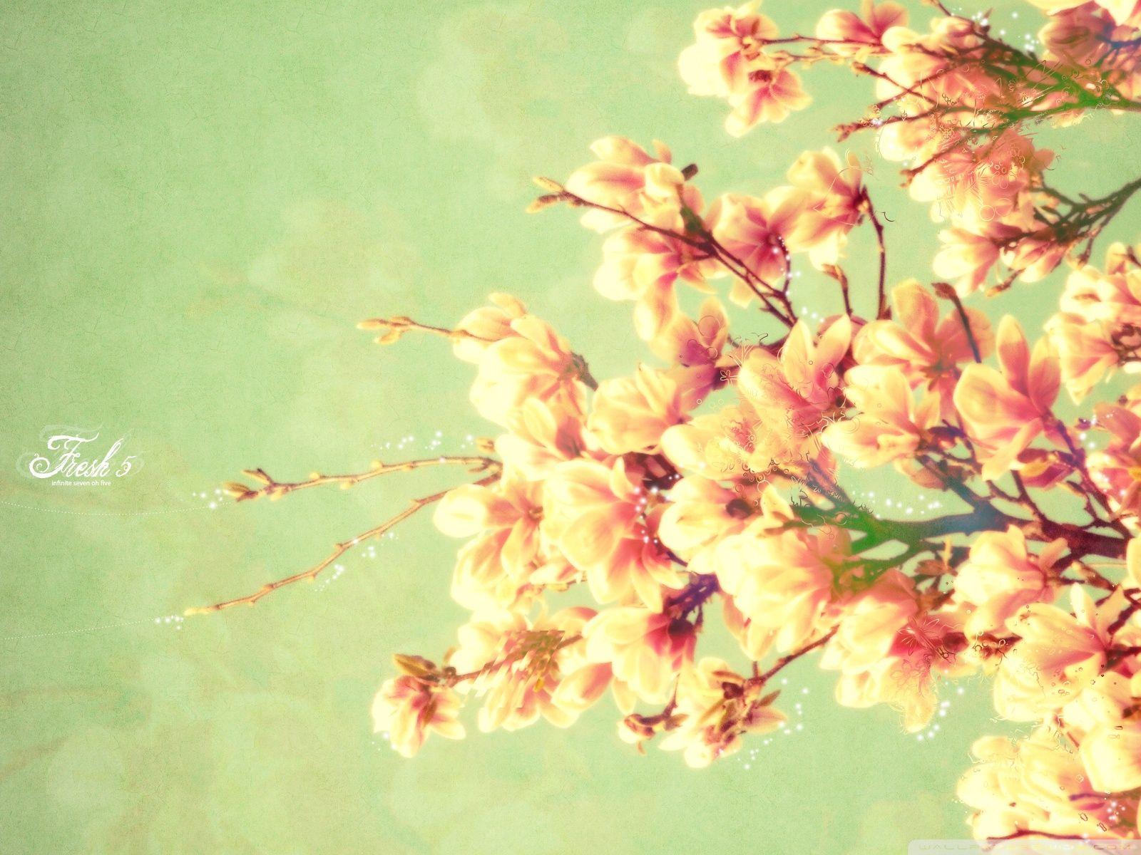Vintage Spring Wallpapers - Top Free Vintage Spring Backgrounds ...