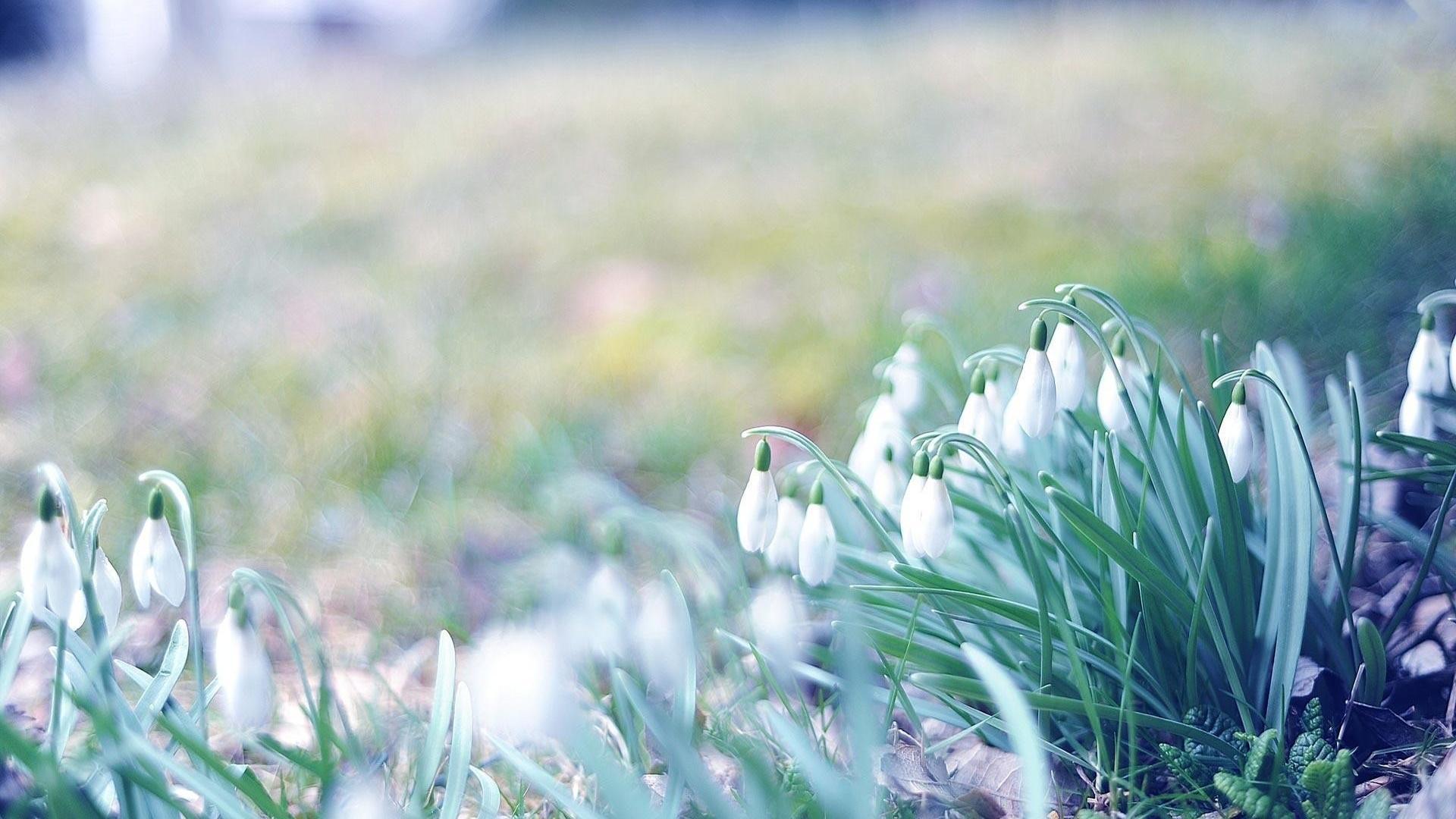 Vintage Spring Wallpapers - Top Free Vintage Spring Backgrounds ...