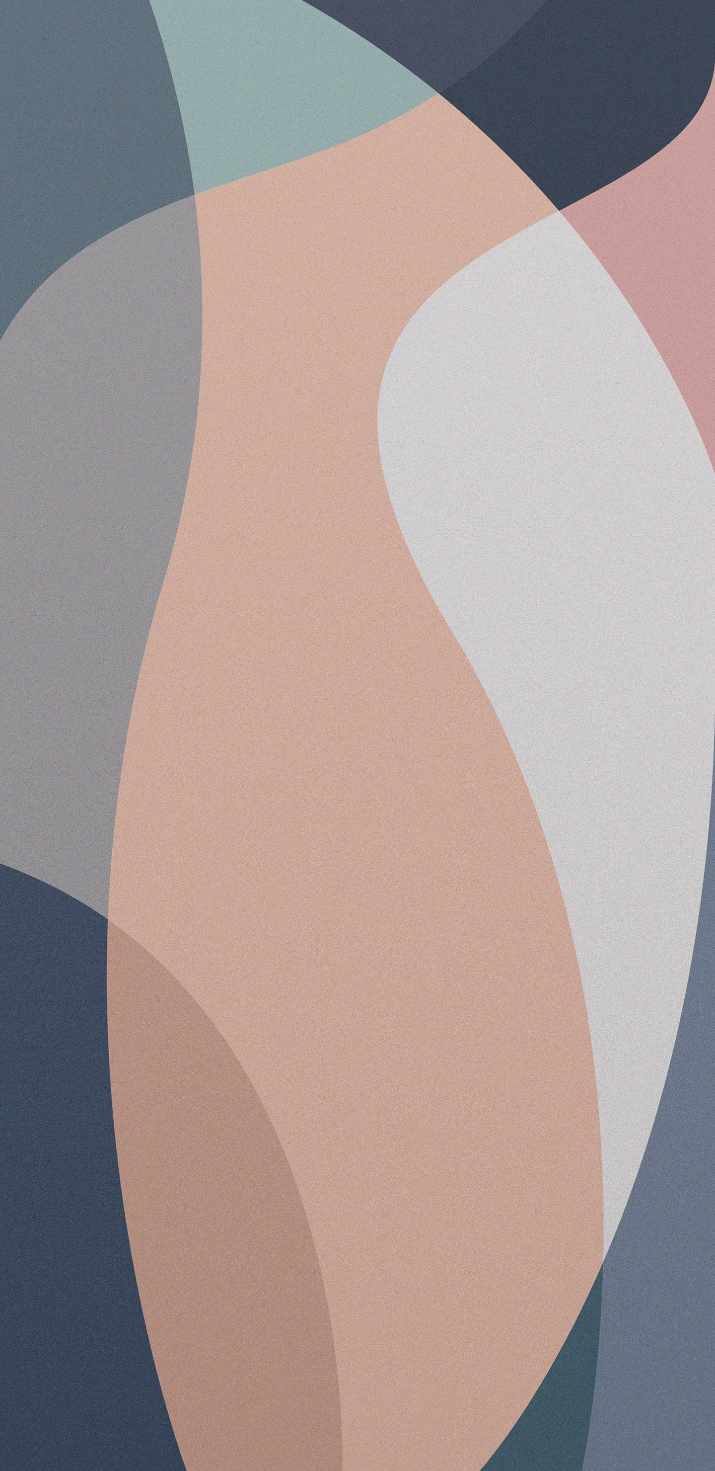 Android Q Wallpapers - Top Free Android Q Backgrounds - WallpaperAccess Android Q Wallpapers - Top Free Android Q Backgrounds - WallpaperAccess