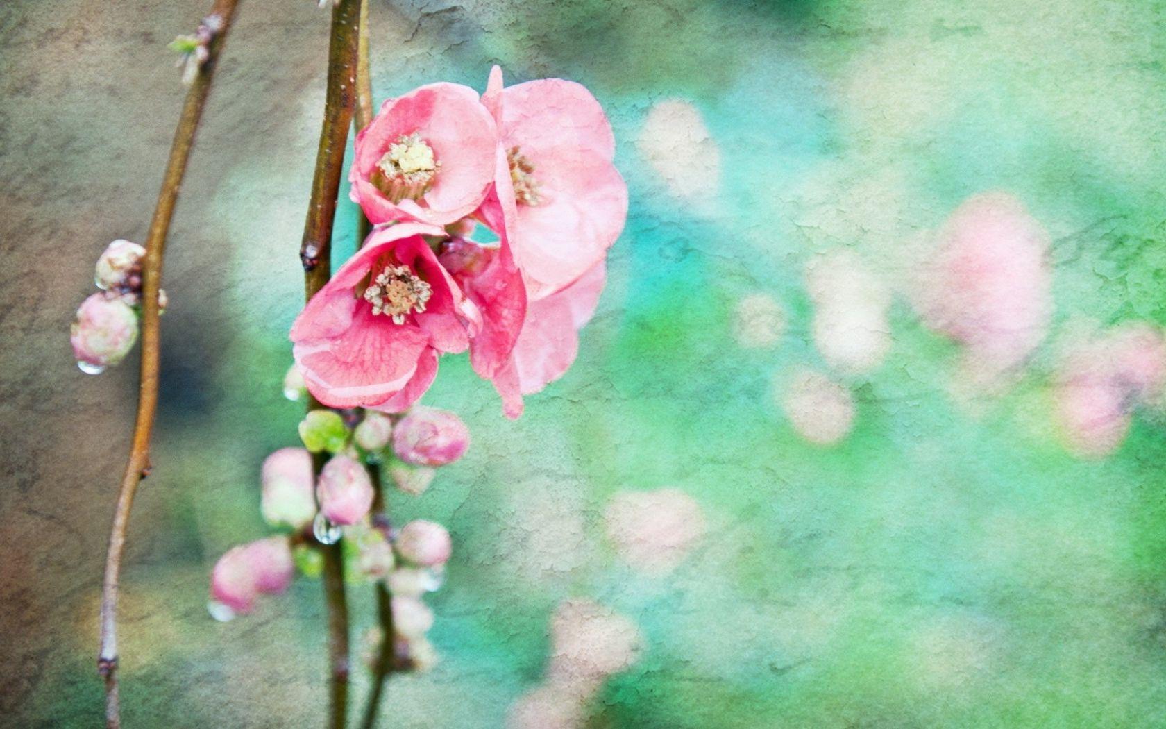 Vintage Spring Desktop Wallpapers - Top Free Vintage Spring Desktop ...