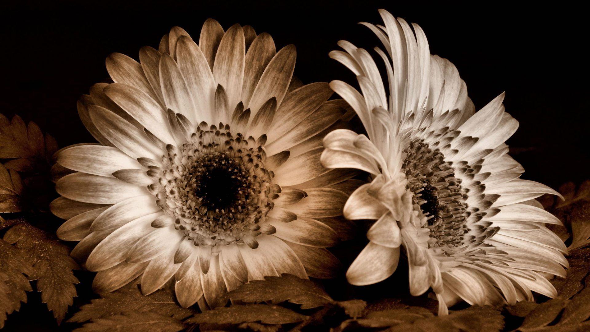 Vintage Spring Desktop Wallpapers - Top Free Vintage Spring Desktop ...