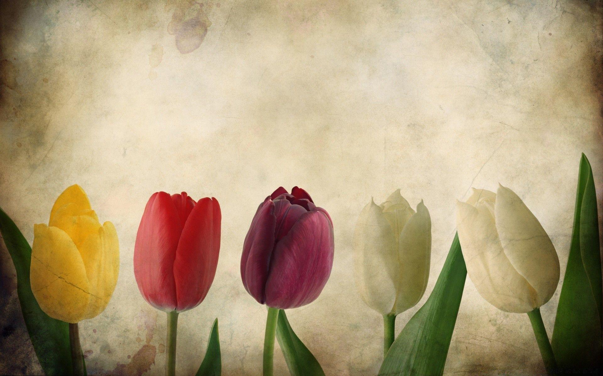 Vintage Easter Wallpapers - Top Free Vintage Easter Backgrounds ...