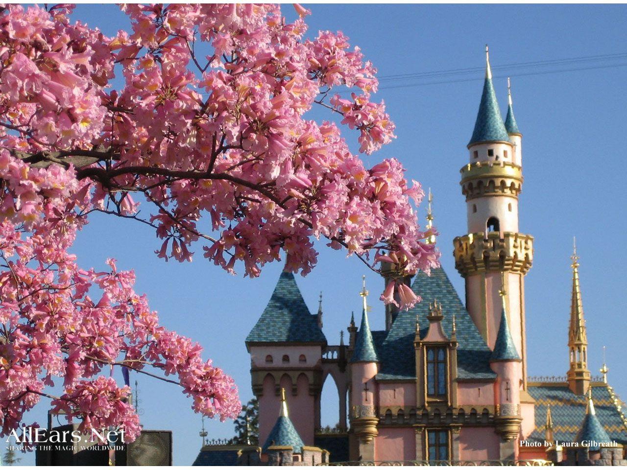 Disney Castle Computer Wallpapers - Top Free Disney Castle Computer ...