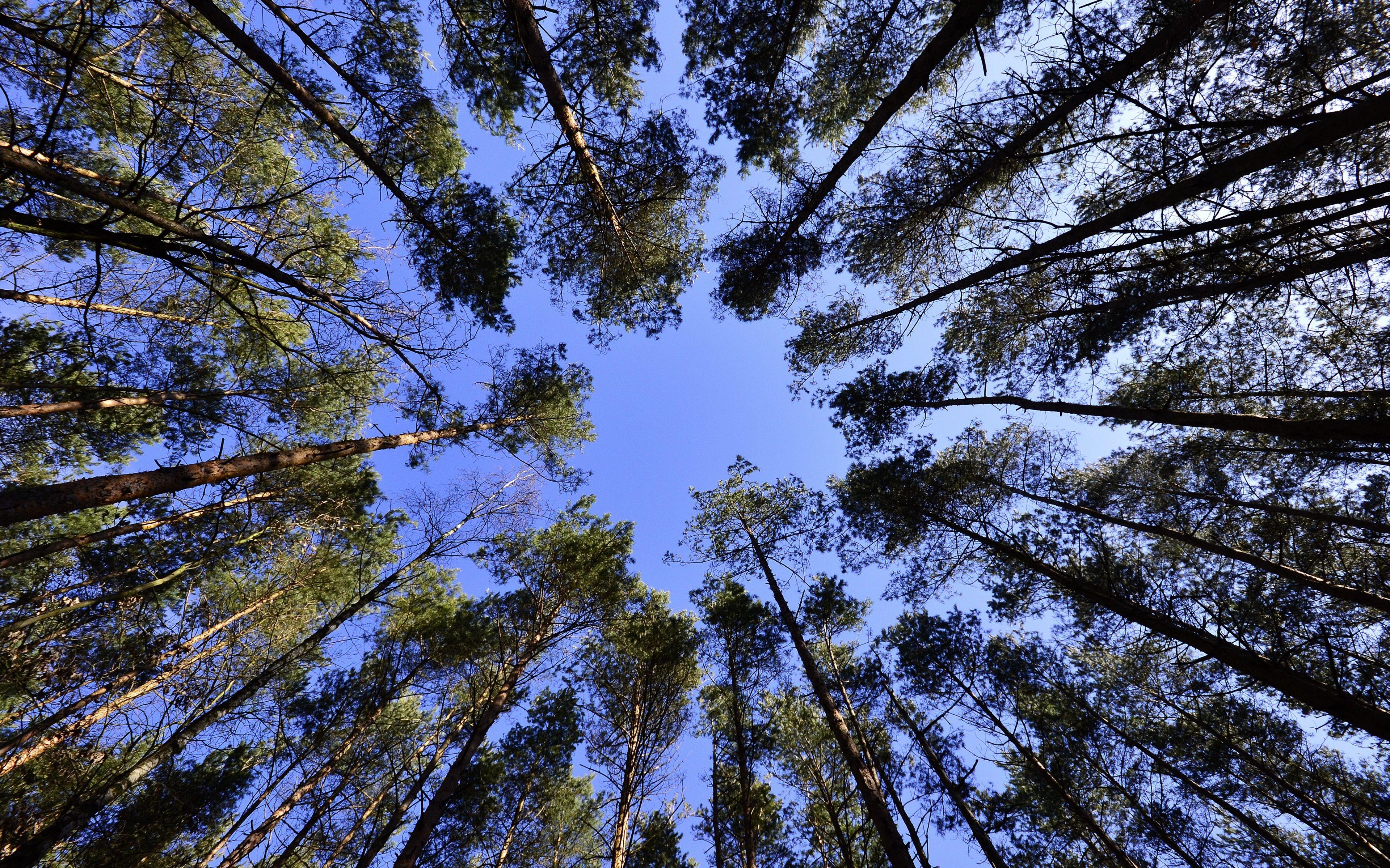 Sky View Wallpapers - Top Free Sky View Backgrounds - WallpaperAccess