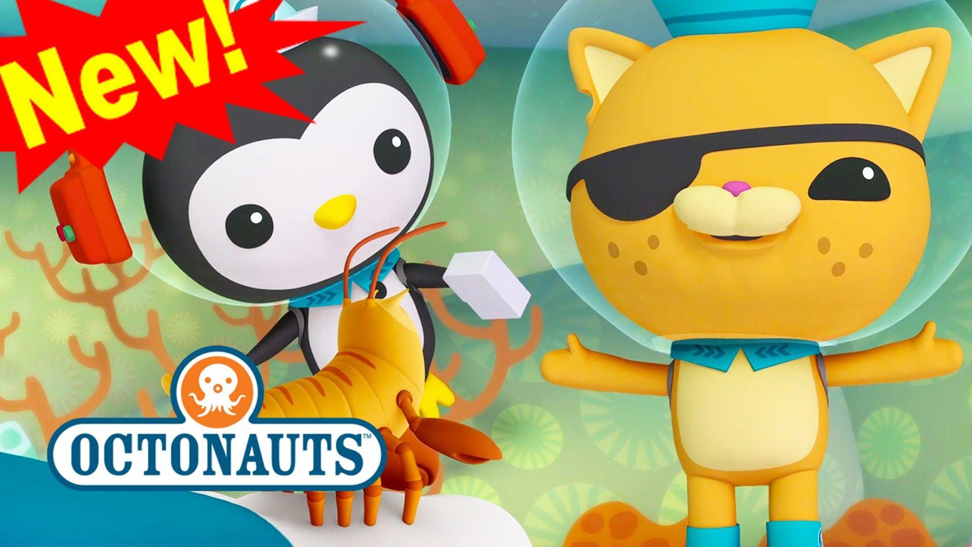 Octonauts Wallpapers - Top Free Octonauts Backgrounds - WallpaperAccess