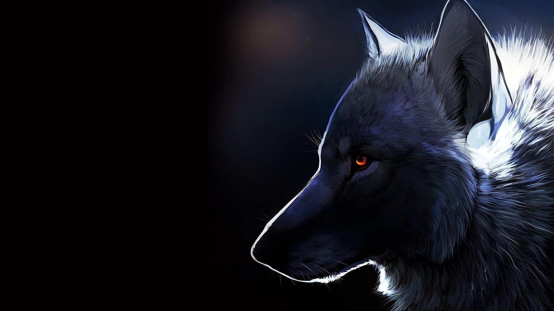 Grey Wolf Wallpapers - Top Free Grey Wolf Backgrounds - WallpaperAccess