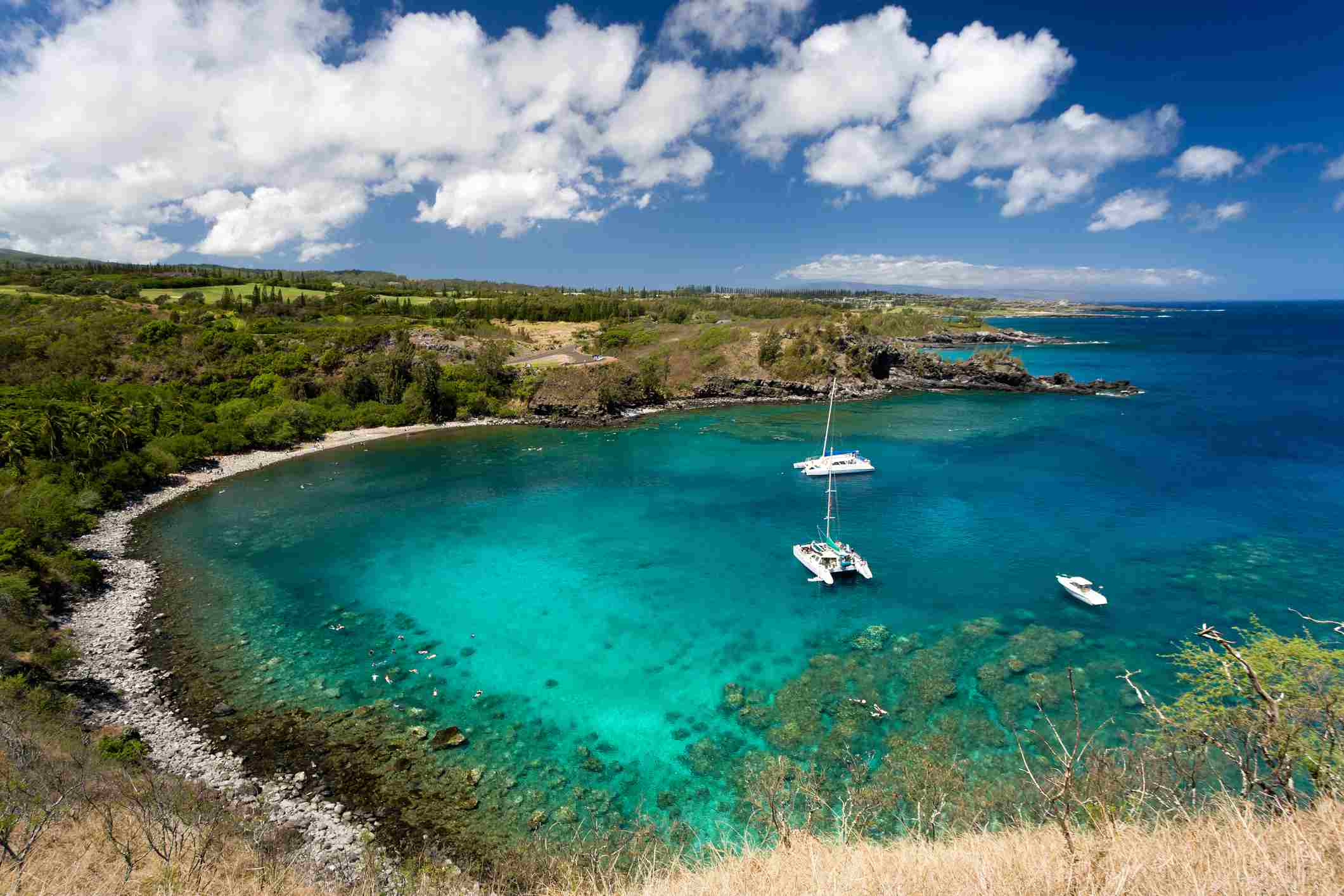 Honolua Bay Maui Wallpapers - Top Free Honolua Bay Maui Backgrounds ...