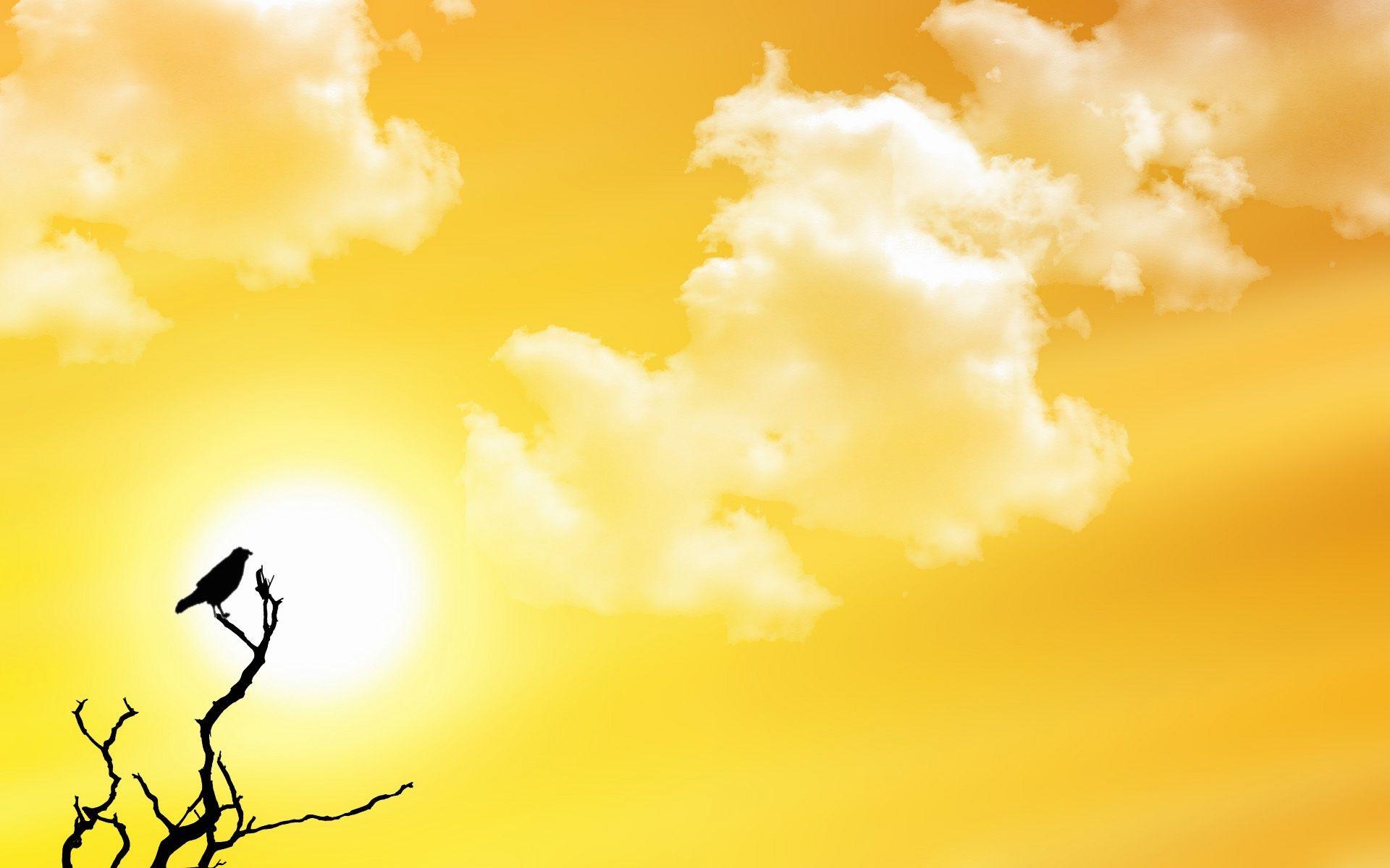 Yellow Sky Wallpapers - Top Free Yellow Sky Backgrounds - WallpaperAccess