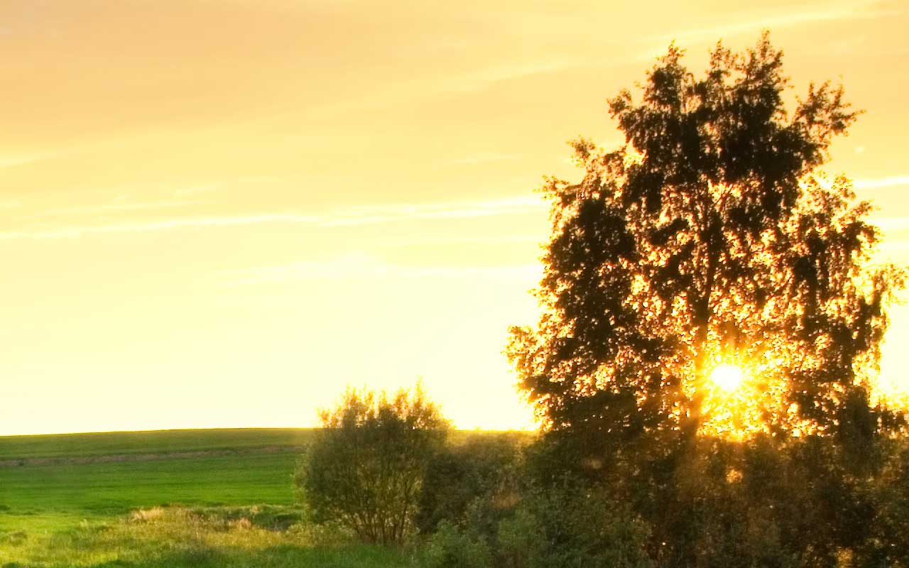 Yellow Sky Wallpapers - Top Free Yellow Sky Backgrounds - WallpaperAccess