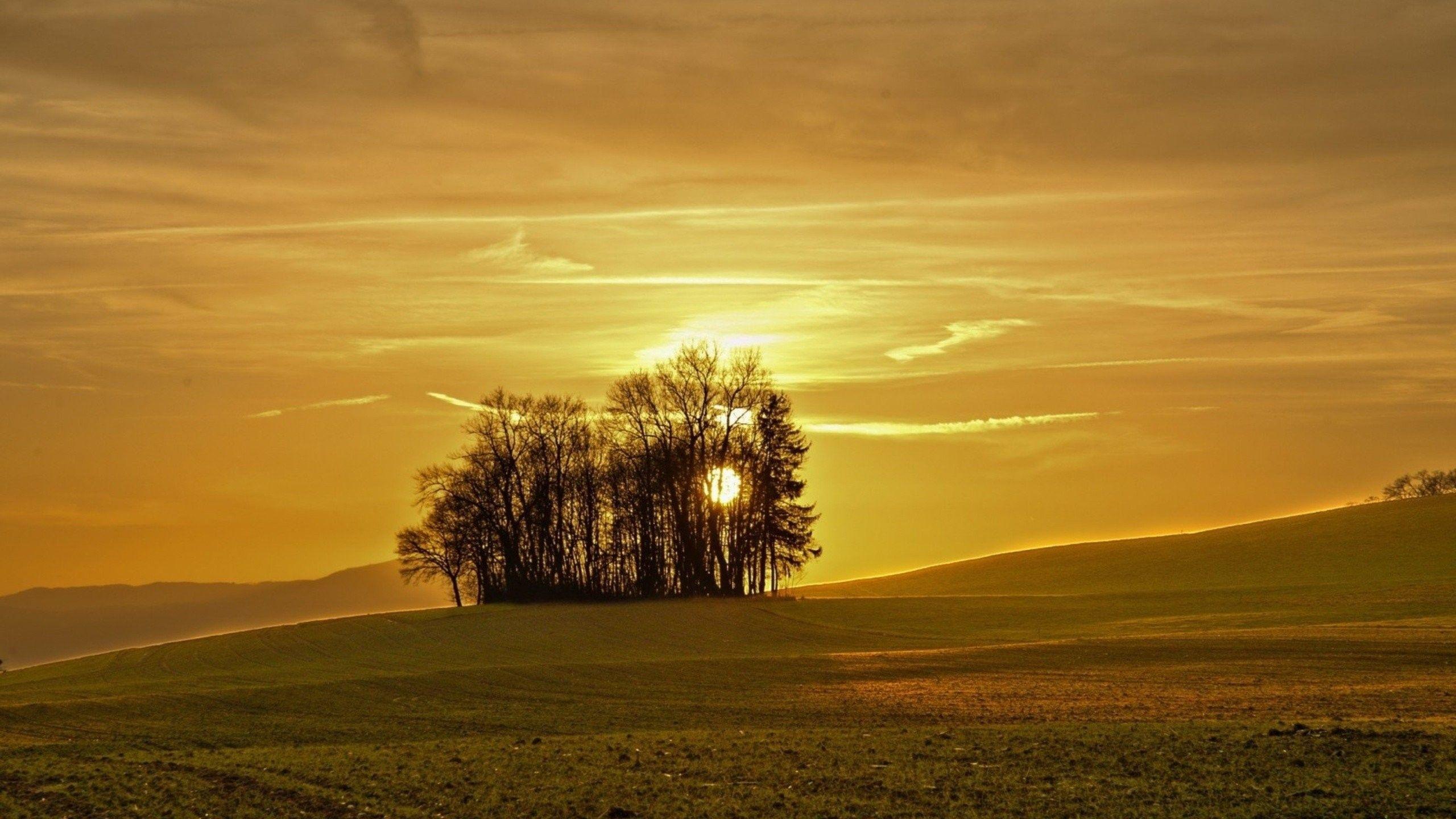 Yellow Sky Wallpapers - Top Free Yellow Sky Backgrounds - WallpaperAccess