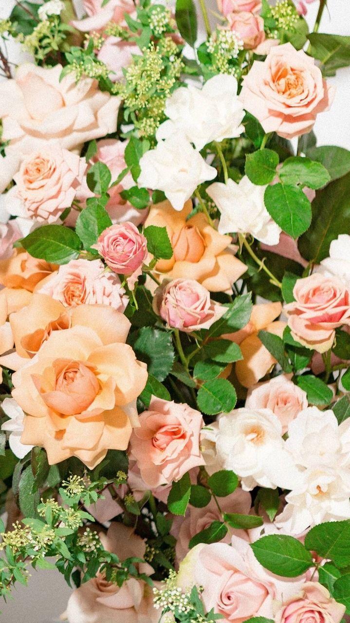 Glossier Wallpapers - Top Free Glossier Backgrounds - WallpaperAccess