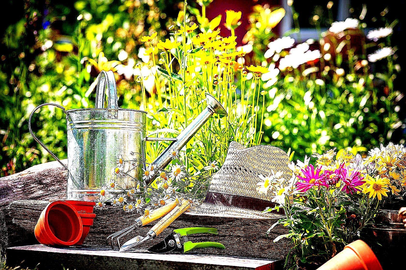 Gardening Wallpapers - Top Free Gardening Backgrounds - WallpaperAccess