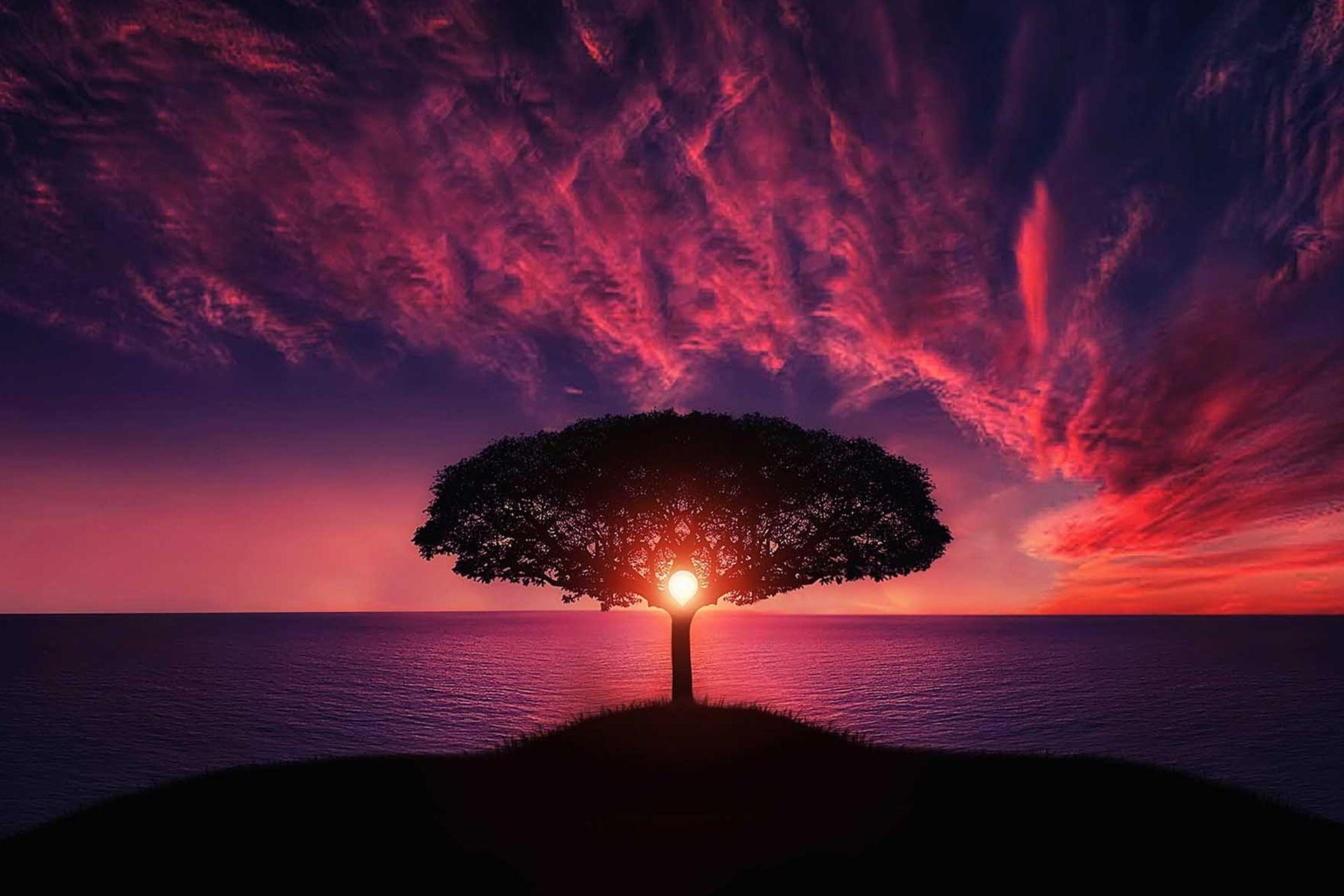 1920X1280 Wallpapers - Top Free 1920X1280 Backgrounds - WallpaperAccess