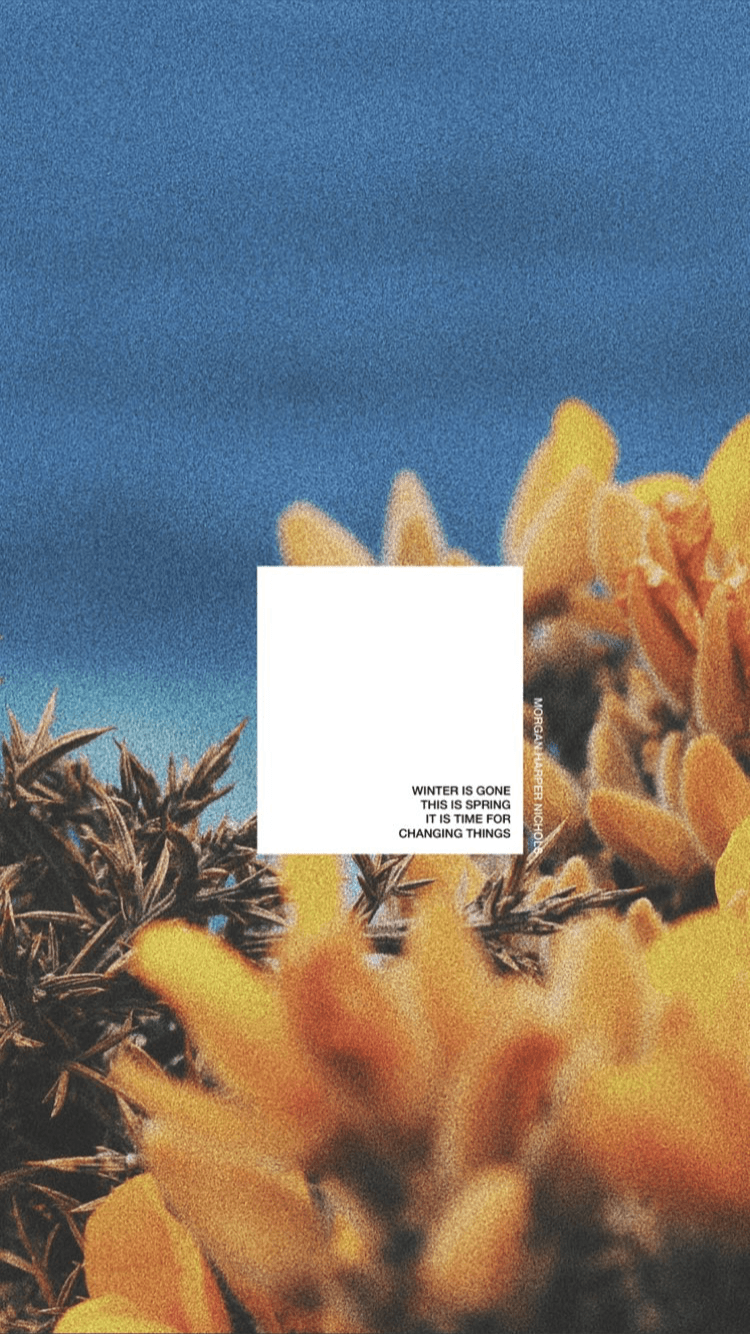 VSCO Winter Wallpapers - Top Free VSCO Winter Backgrounds - WallpaperAccess