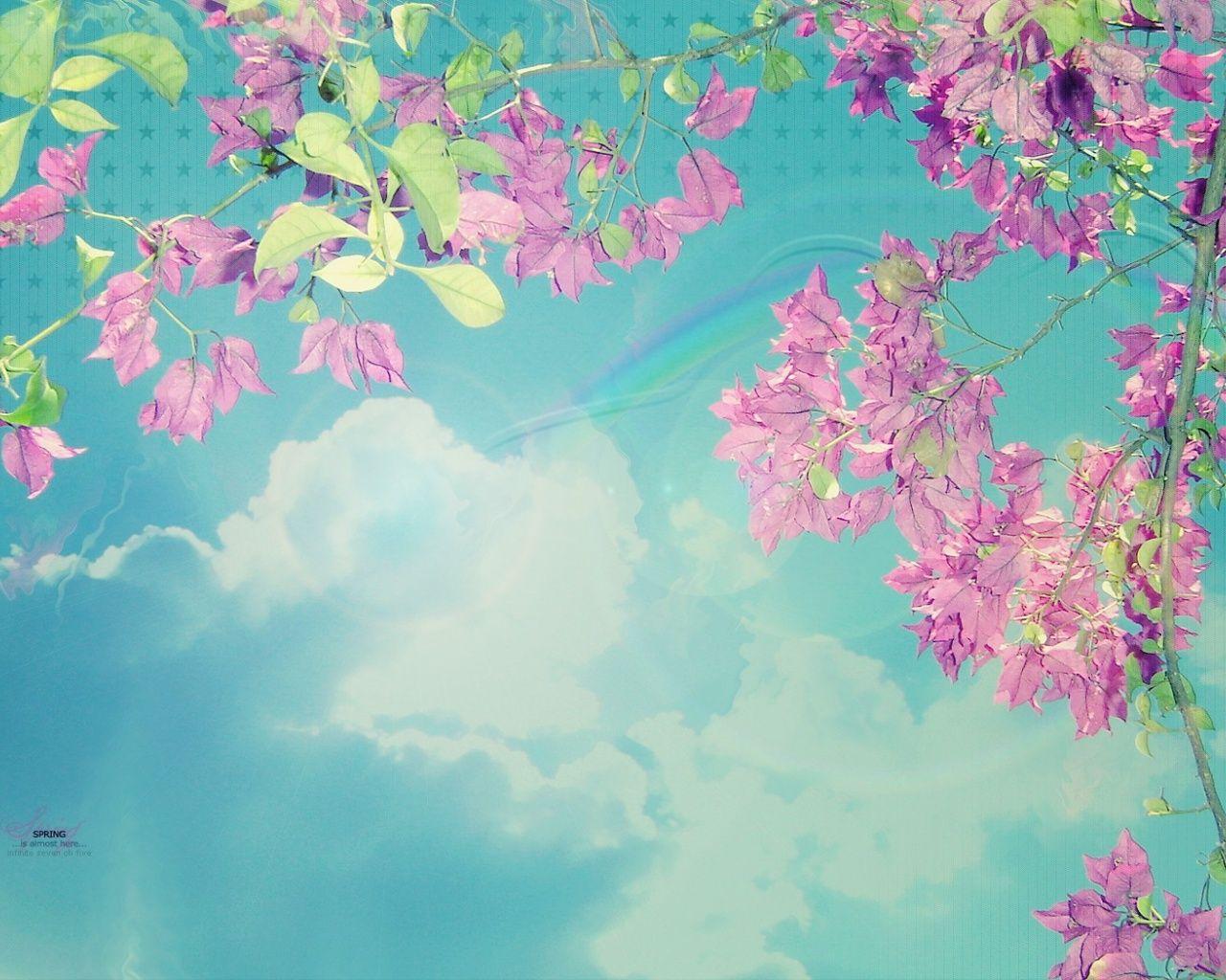 Spring Sky Wallpapers - Top Free Spring Sky Backgrounds - WallpaperAccess