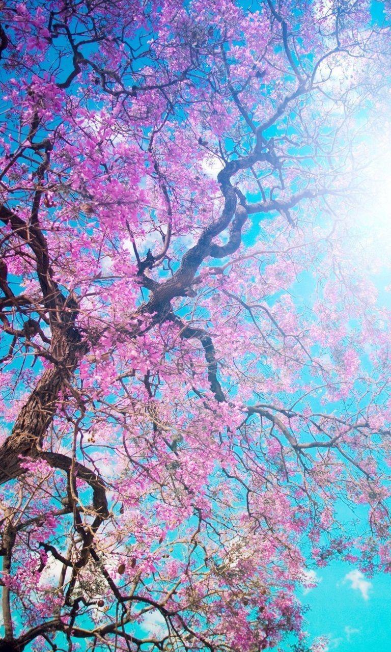 Spring Sky Wallpapers - Top Free Spring Sky Backgrounds - WallpaperAccess