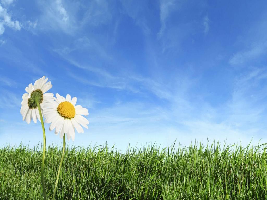 Spring Sky Wallpapers - Top Free Spring Sky Backgrounds - WallpaperAccess