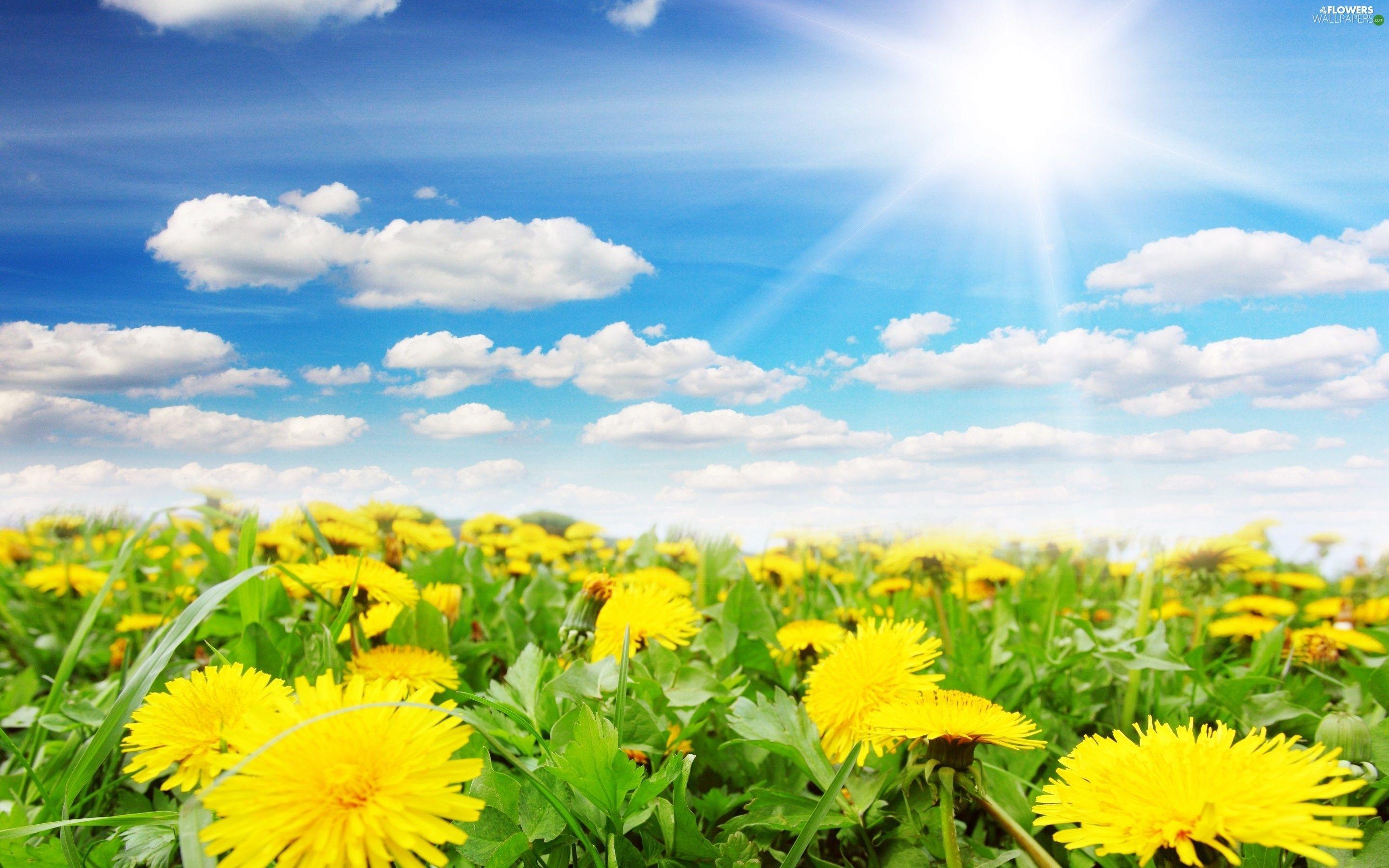 Spring Sky Wallpapers - Top Free Spring Sky Backgrounds - WallpaperAccess