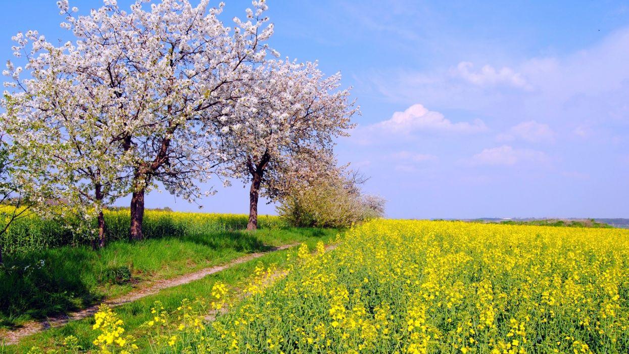 Spring Sky Wallpapers - Top Free Spring Sky Backgrounds - WallpaperAccess