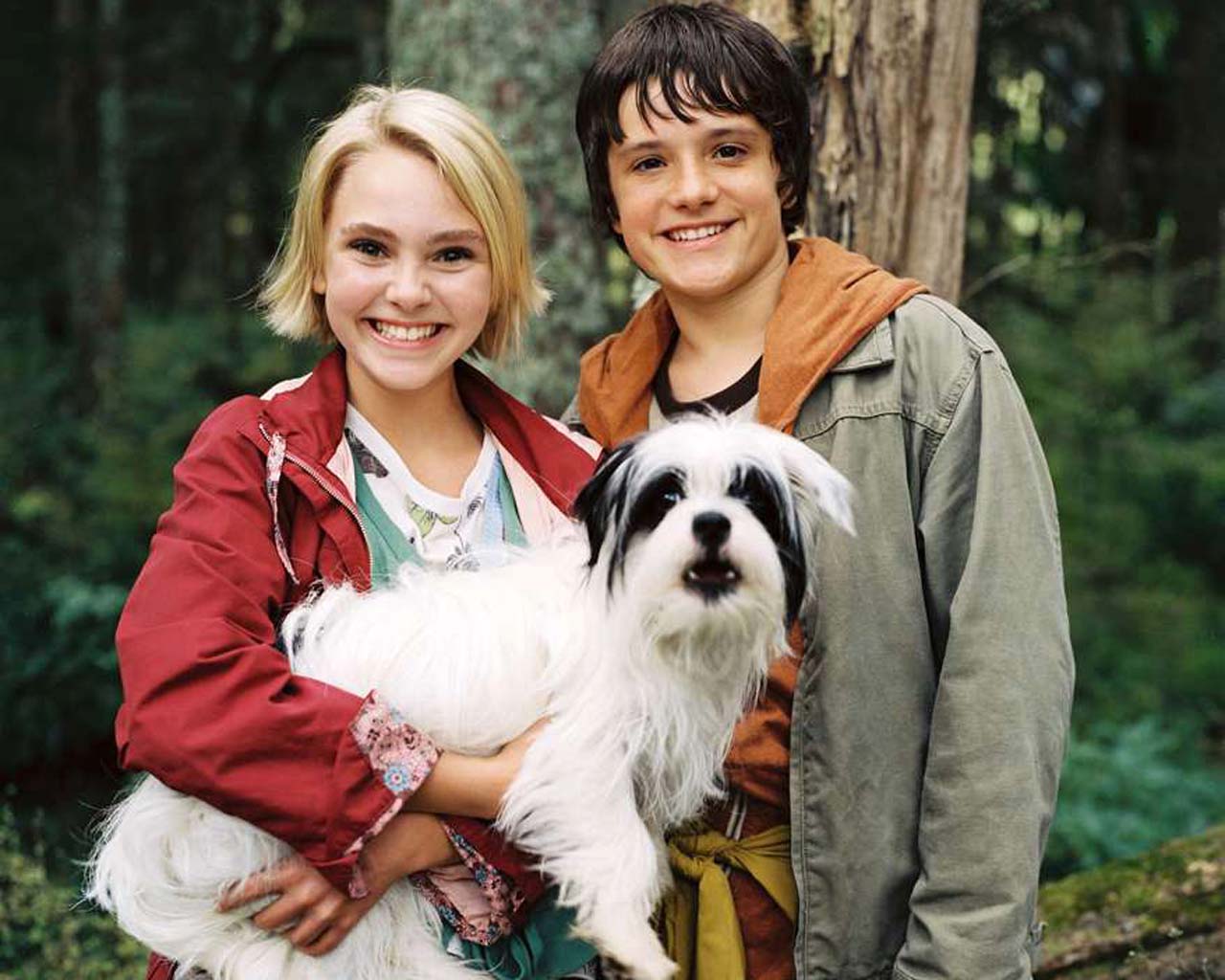 Bridge To Terabithia Wallpapers Top Free Bridge To Terabithia