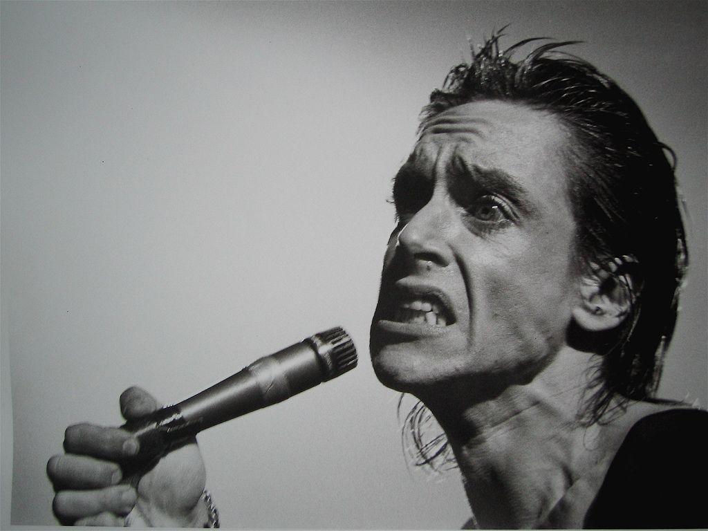 Iggy Pop Wallpapers - Top Free Iggy Pop Backgrounds - WallpaperAccess