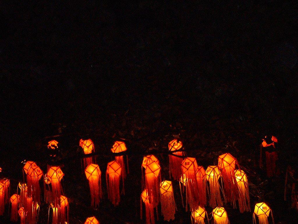 Vesak Lanterns Wallpapers - Top Free Vesak Lanterns Backgrounds ...