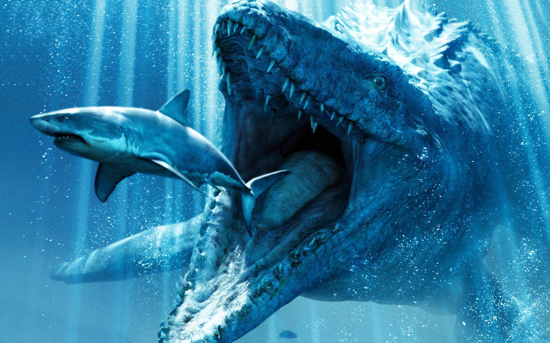 Mosasaurus Wallpapers Top Free Mosasaurus Backgrounds WallpaperAccess