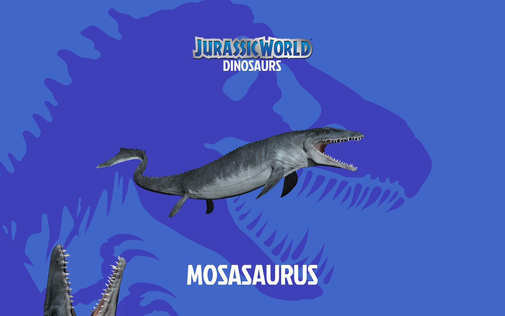 Mosasaurus Wallpapers - Top Free Mosasaurus Backgrounds - WallpaperAccess