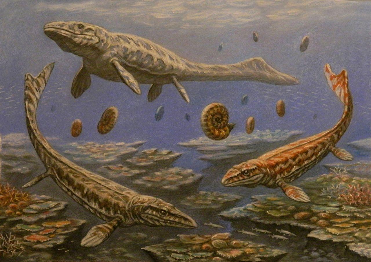 Mosasaurus Wallpapers - Top Free Mosasaurus Backgrounds - WallpaperAccess