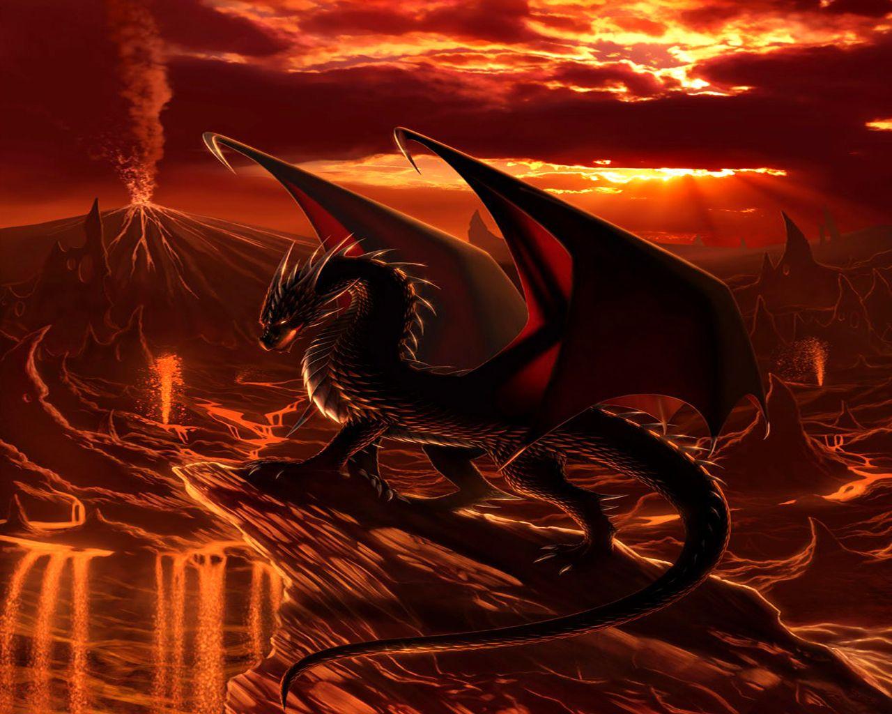Orange Dragon Wallpapers - Top Free Orange Dragon Backgrounds ...