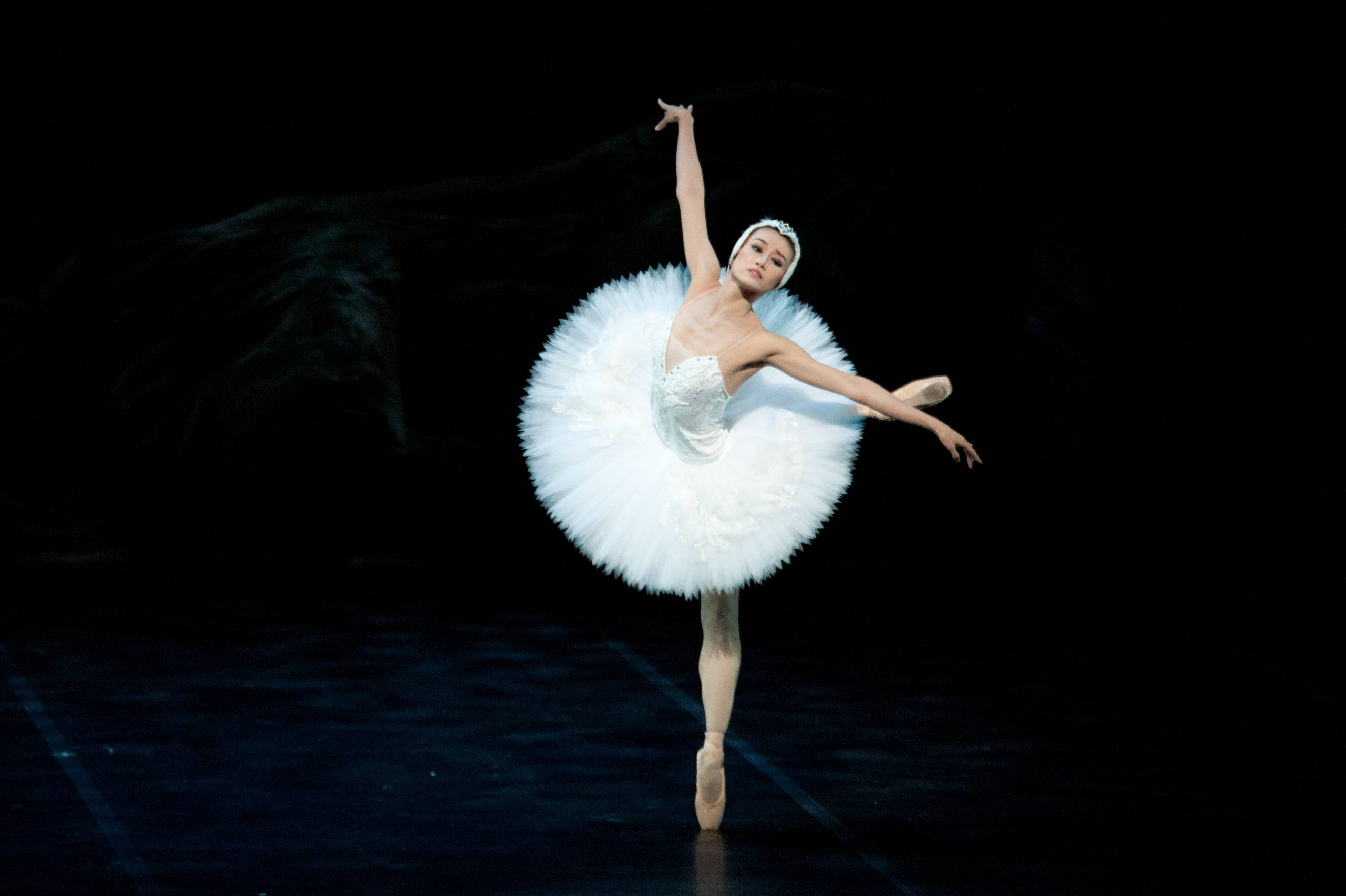 Swan Lake Wallpapers - Top Free Swan Lake Backgrounds - WallpaperAccess