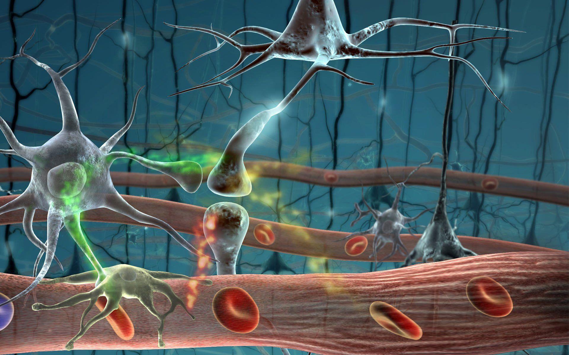 Microbes Wallpapers - Top Free Microbes Backgrounds - WallpaperAccess