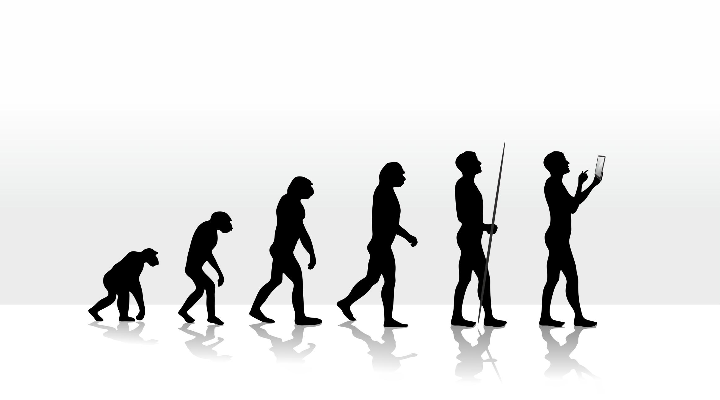 Evolution Of Man Wallpaper