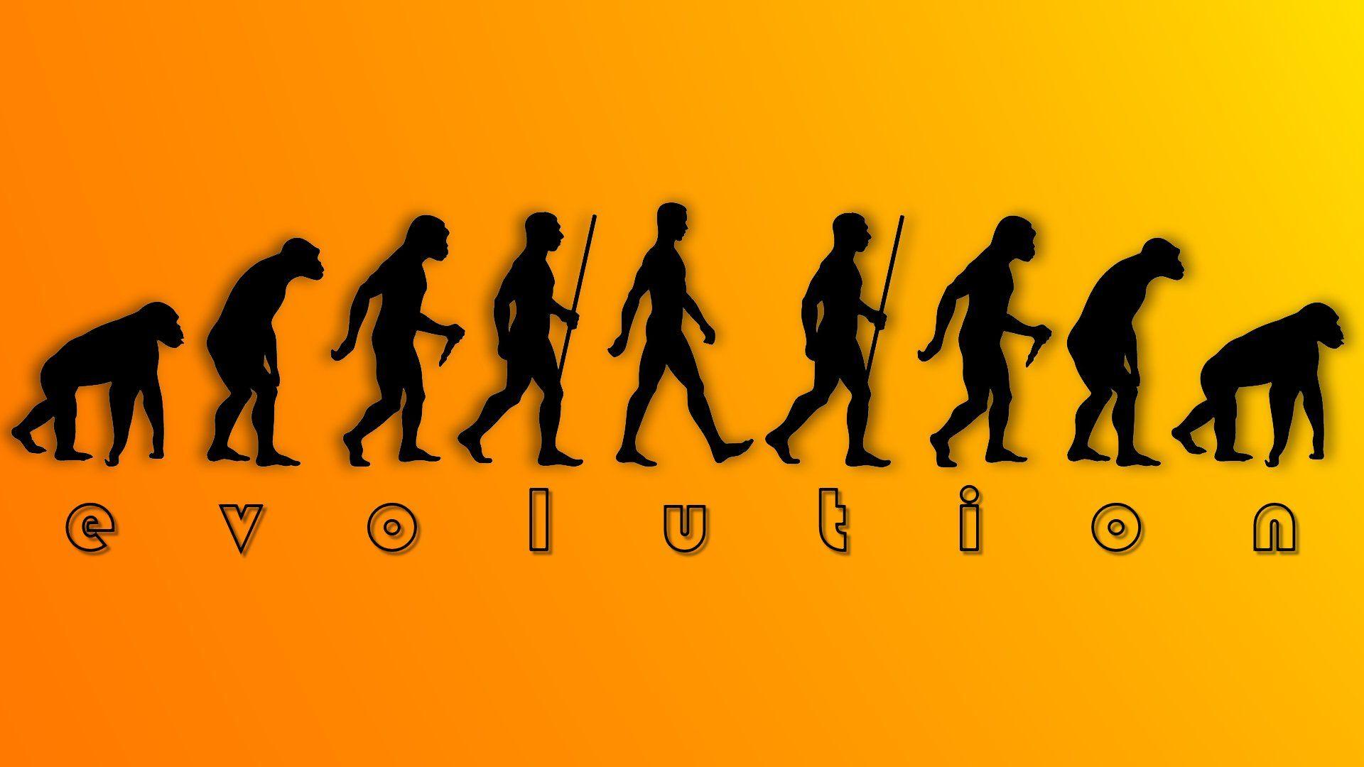 Human Evolution Wallpapers - Top Free Human Evolution Backgrounds ...