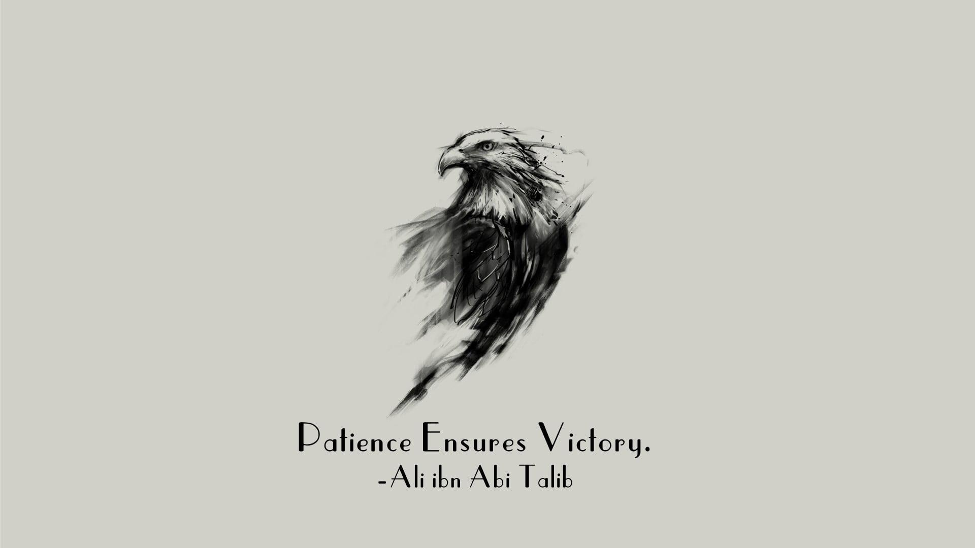 Patience Wallpapers - Top Free Patience Backgrounds - WallpaperAccess