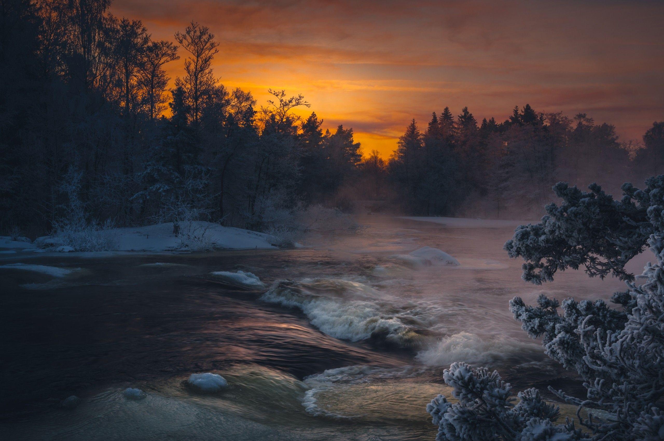 Dark Winter Wallpapers - Top Free Dark Winter Backgrounds - WallpaperAccess