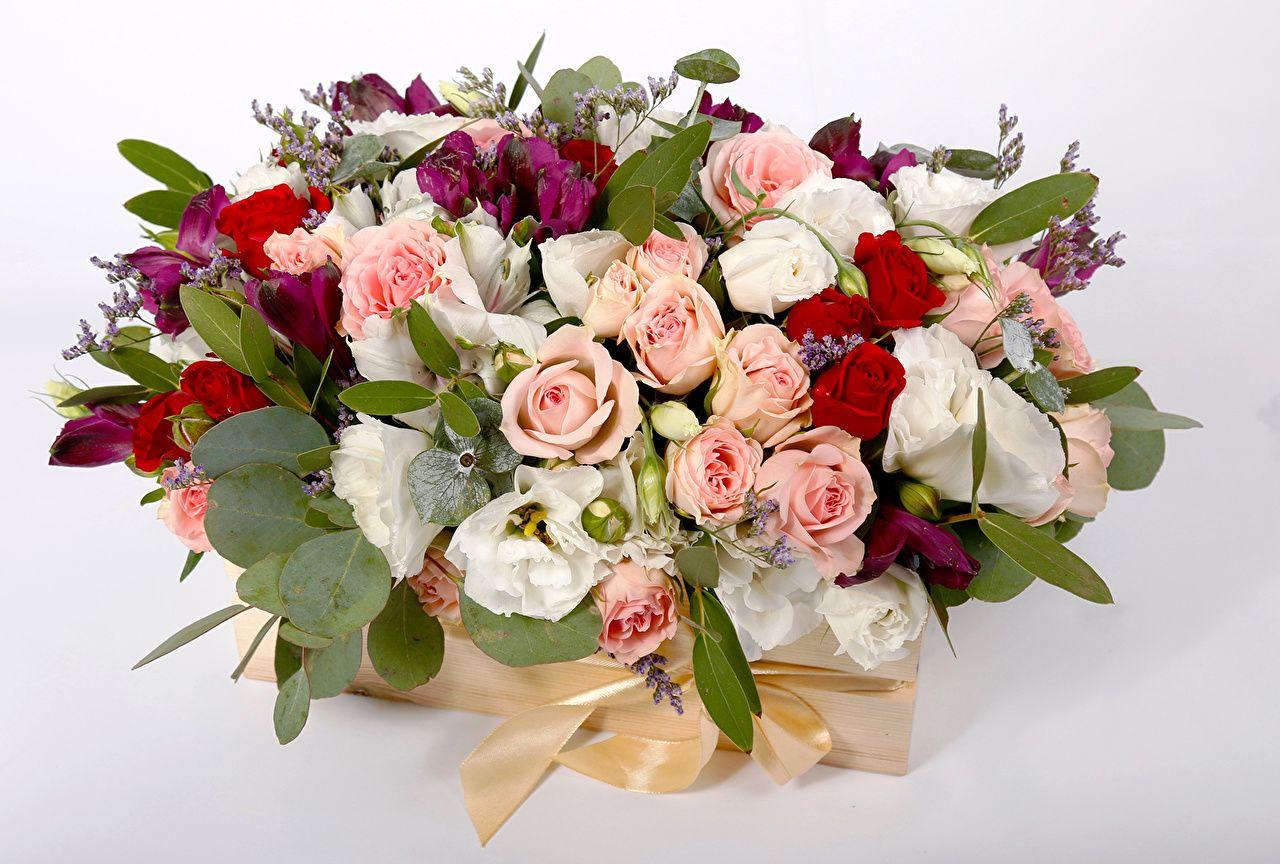 Florist Wallpapers - Top Free Florist Backgrounds - WallpaperAccess